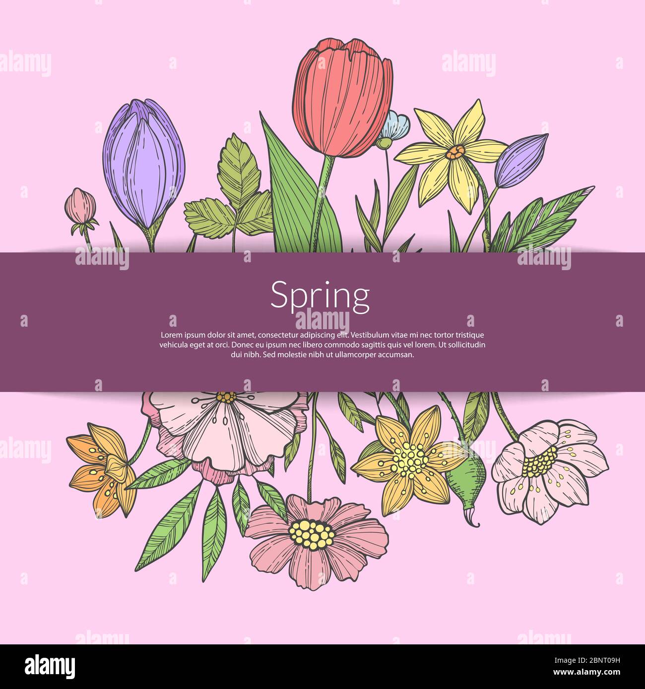 Vector hand drawn flowers in bouquet under ribbon illustration Stock ...