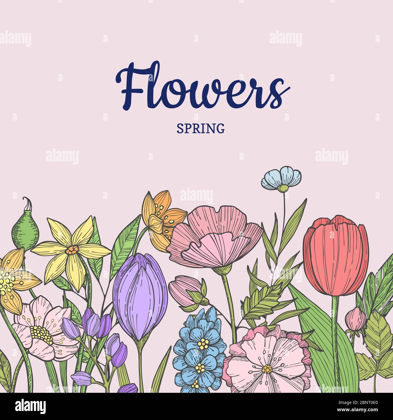 Vector hand drawn flowers background with place for text illustration ...