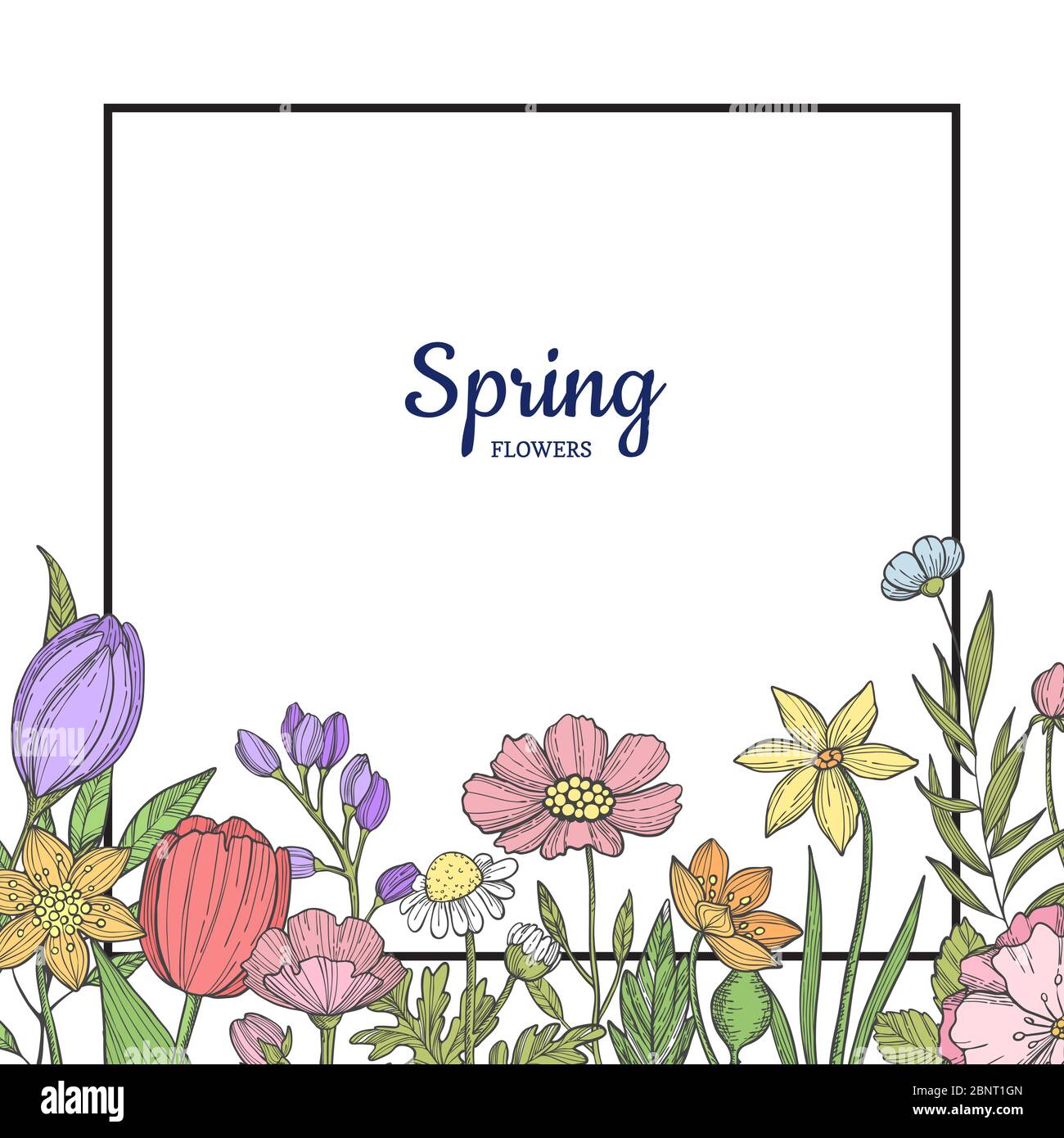 Vector hand drawn flowers background with place for text illustration ...