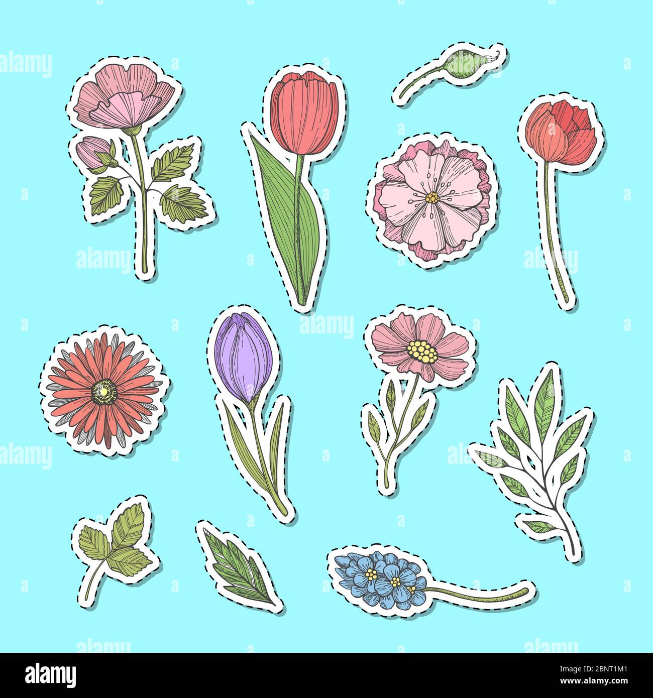Vector hand drawn flowers stickers set illustration Stock Vector Image ...