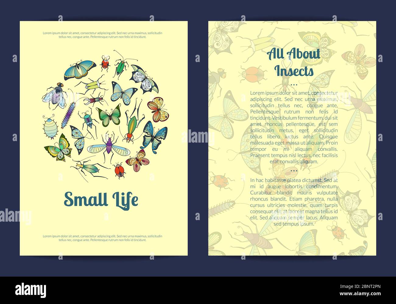 Vector hand drawn insects card illustration isolated Stock Vector Image ...