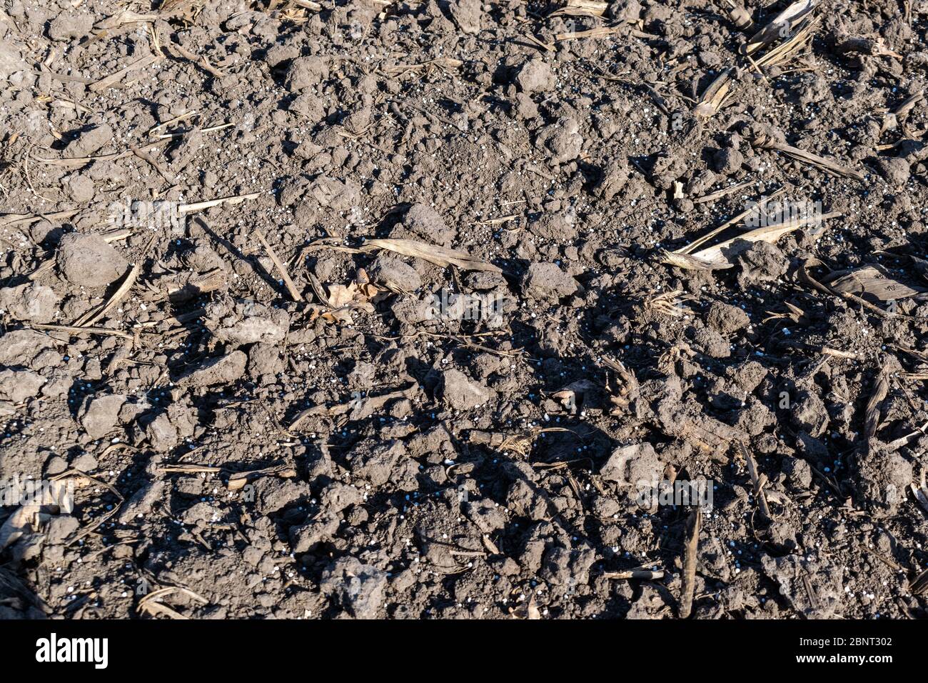 Soil on the field covered with fertilizer texture Stock Photo - Alamy