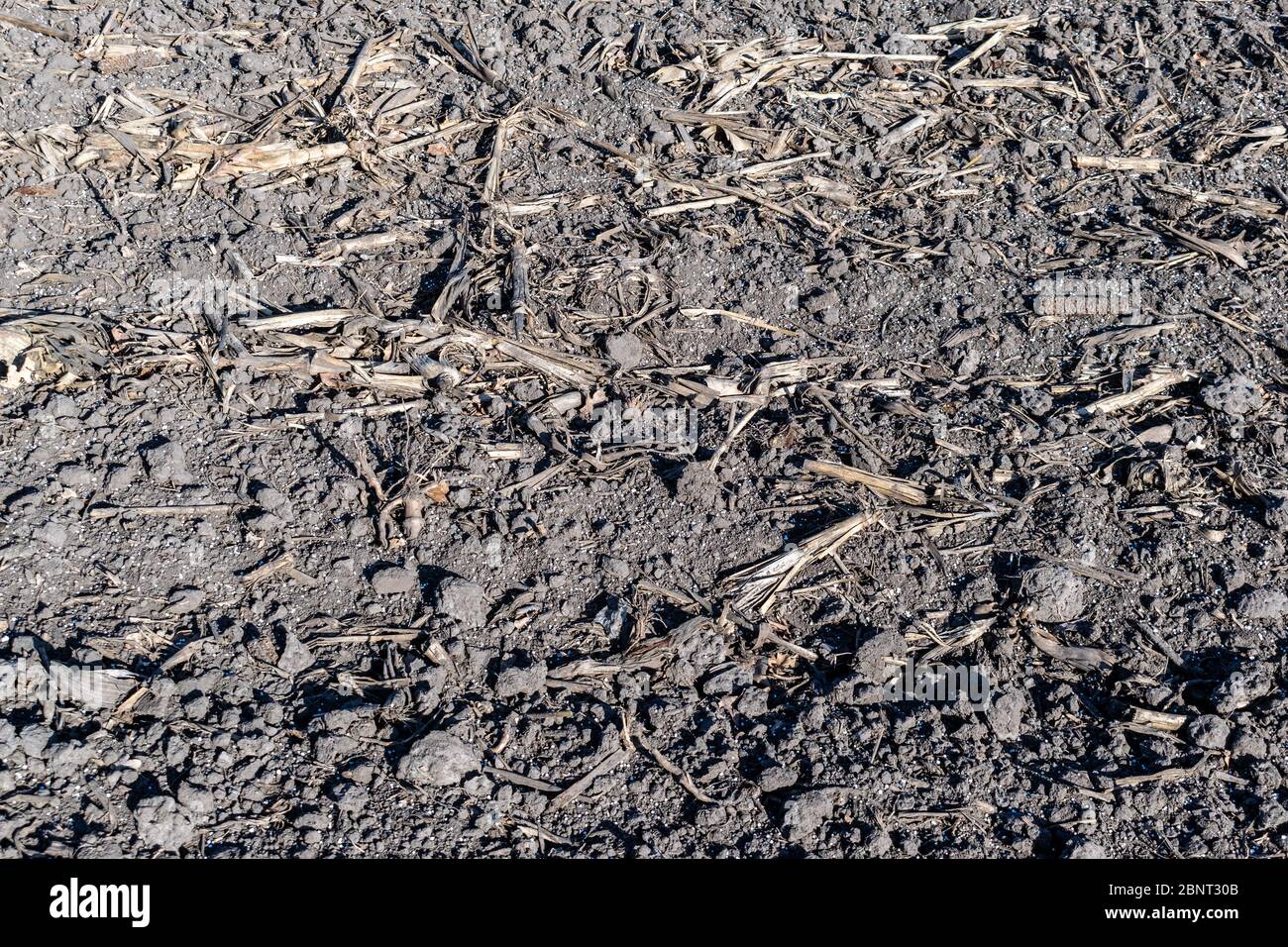 Fertilizer texture hi-res stock photography and images - Alamy