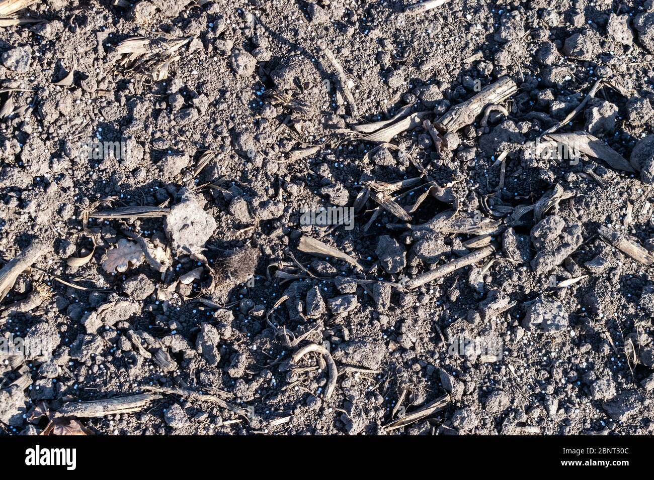 Soil on the field covered with mineral fertilizer Stock Photo - Alamy