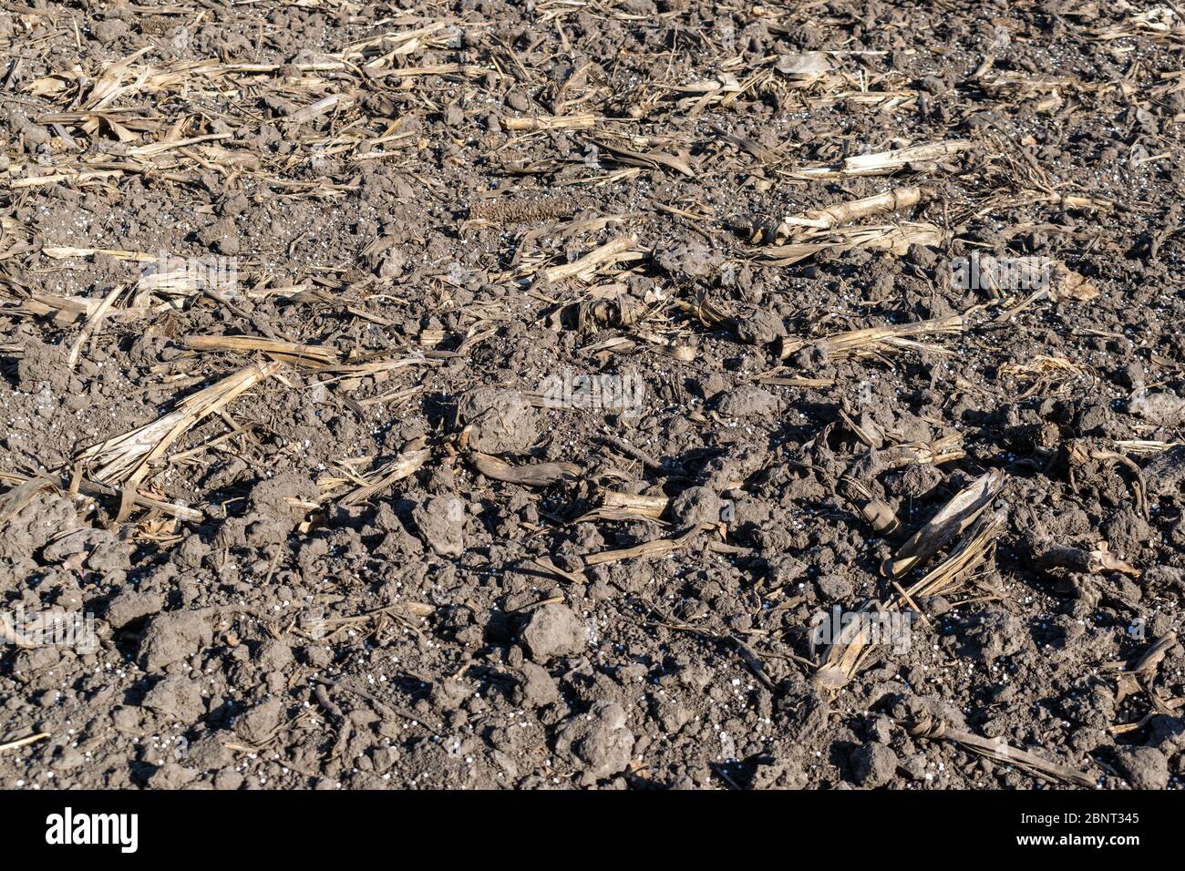 Soil on the field covered with fertilizer pellets Stock Photo - Alamy