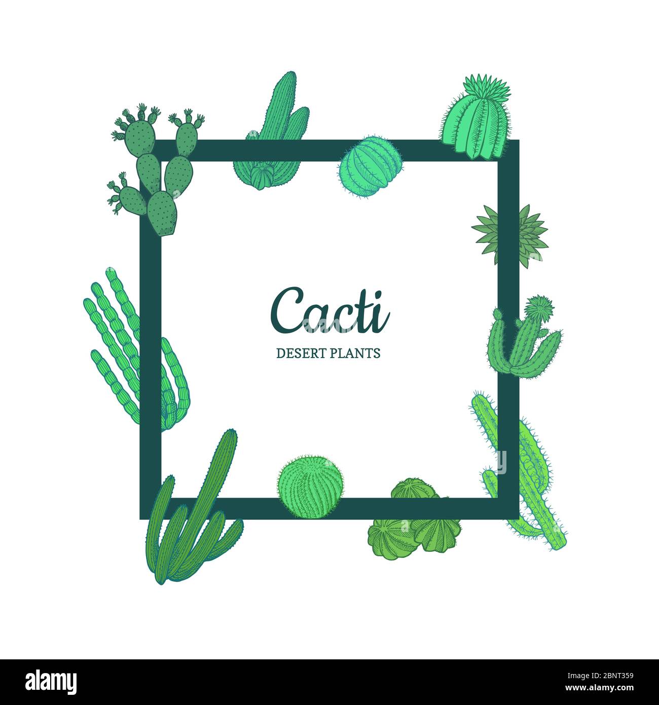 Vector hand drawn desert cacti plants frame banner Stock Vector Image ...