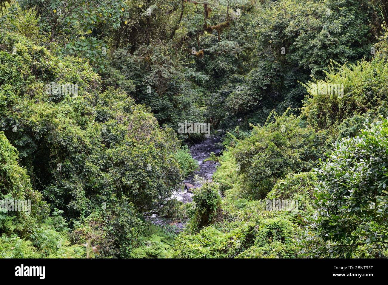 Mt kenya national park hi-res stock photography and images - Alamy
