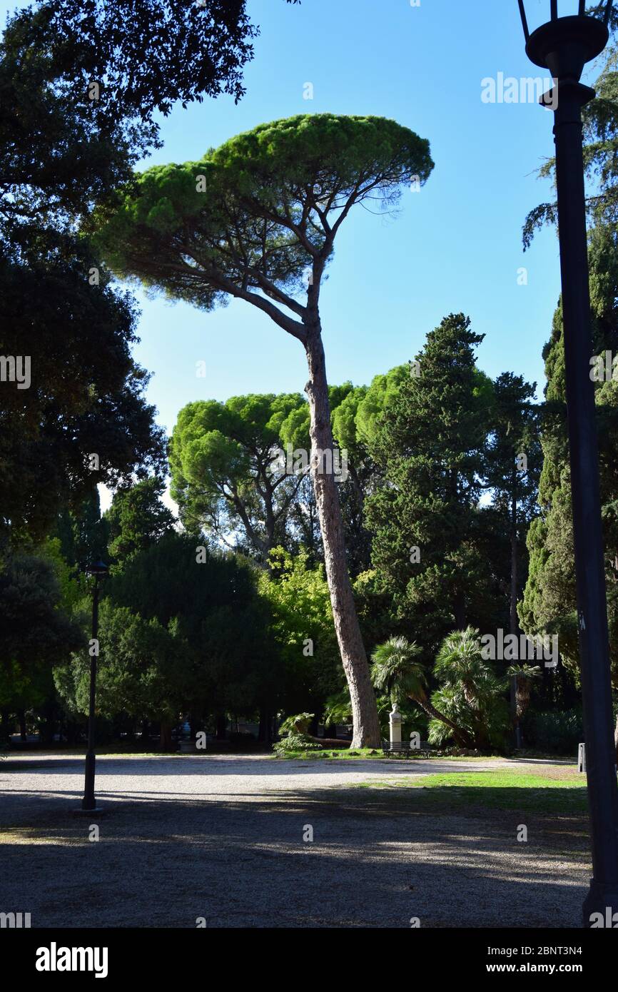 Borghese Gallery and Museum - Garden in the Villa Borghese Park in the ...