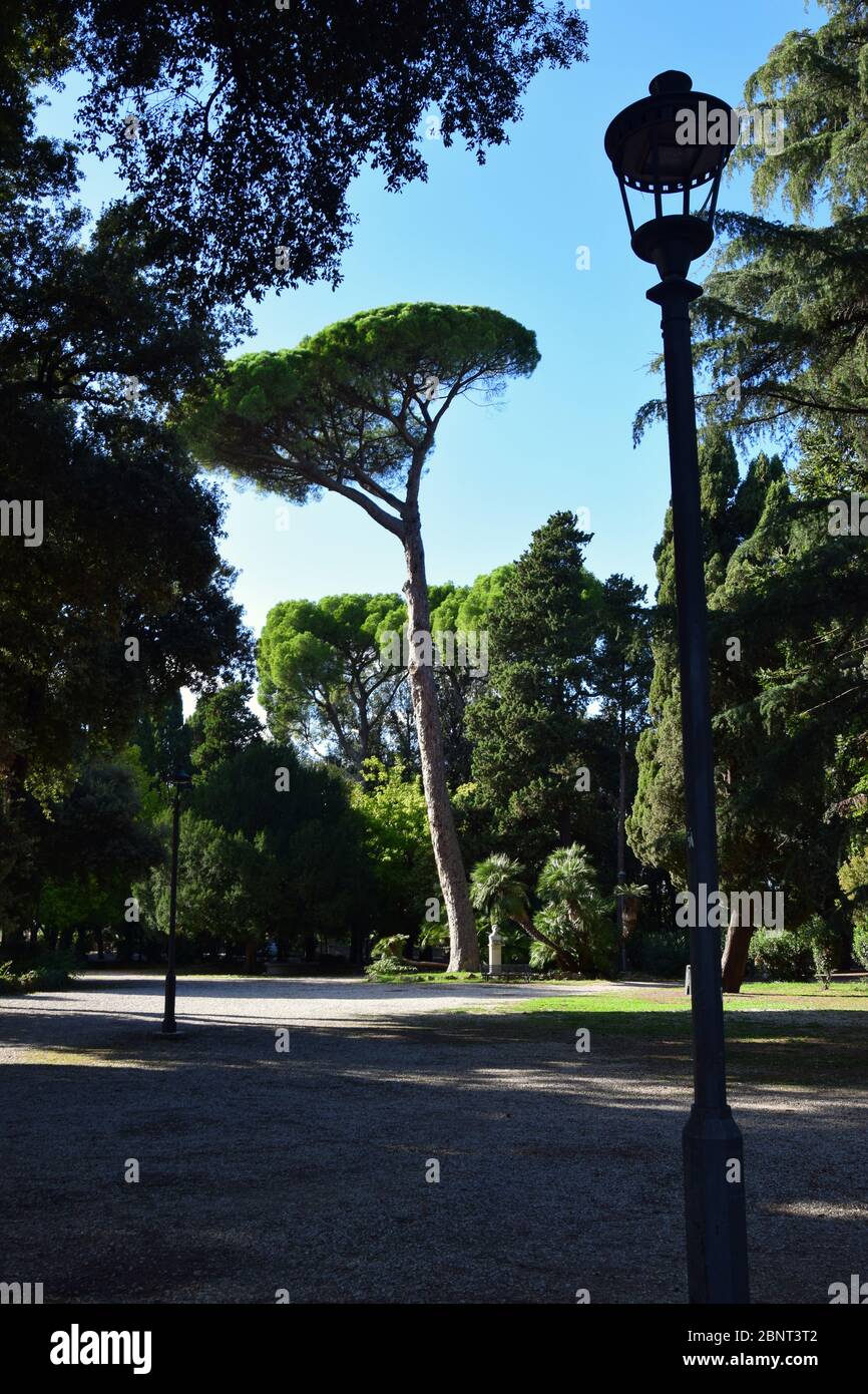Borghese Gallery and Museum - Garden in the Villa Borghese Park in the ...