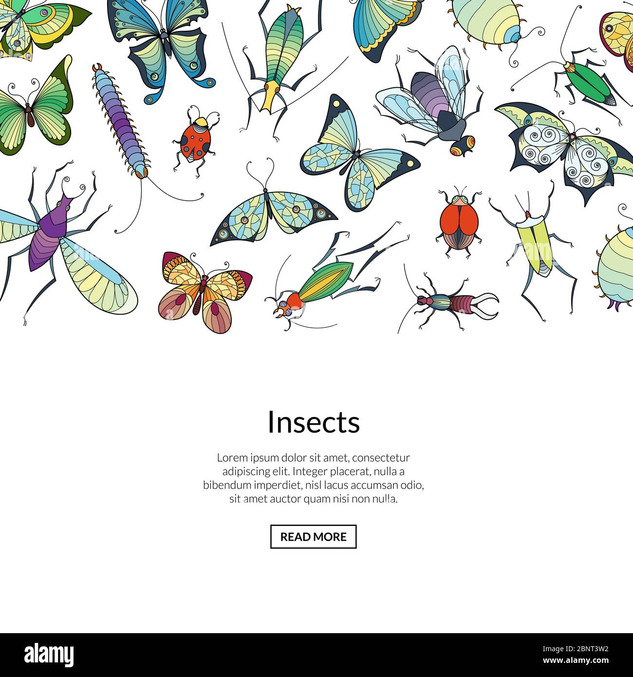 Vector hand drawn insects colored banner web Stock Vector Image & Art ...