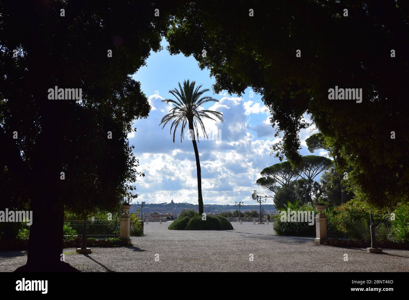 Palm Tree on the Balconata del Pincio in the Villa Borghese Park in the ...