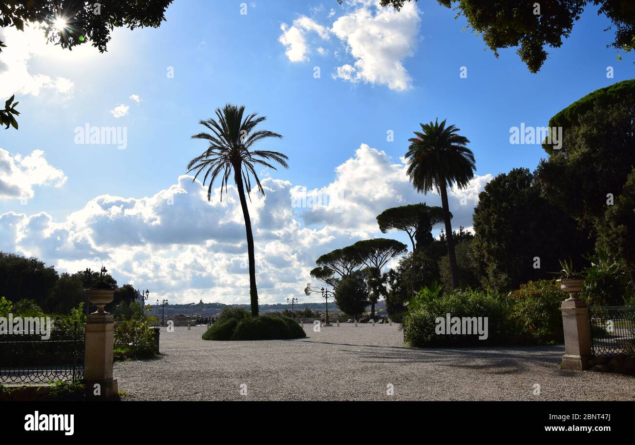 Palm Tree on the Balconata del Pincio in the Villa Borghese Park in the ...