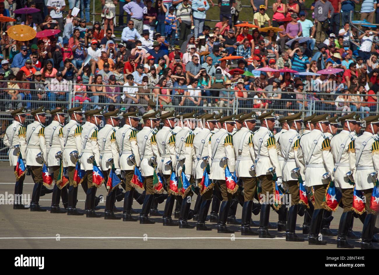 March past by the Carabinero at the annual military parade as part of ...