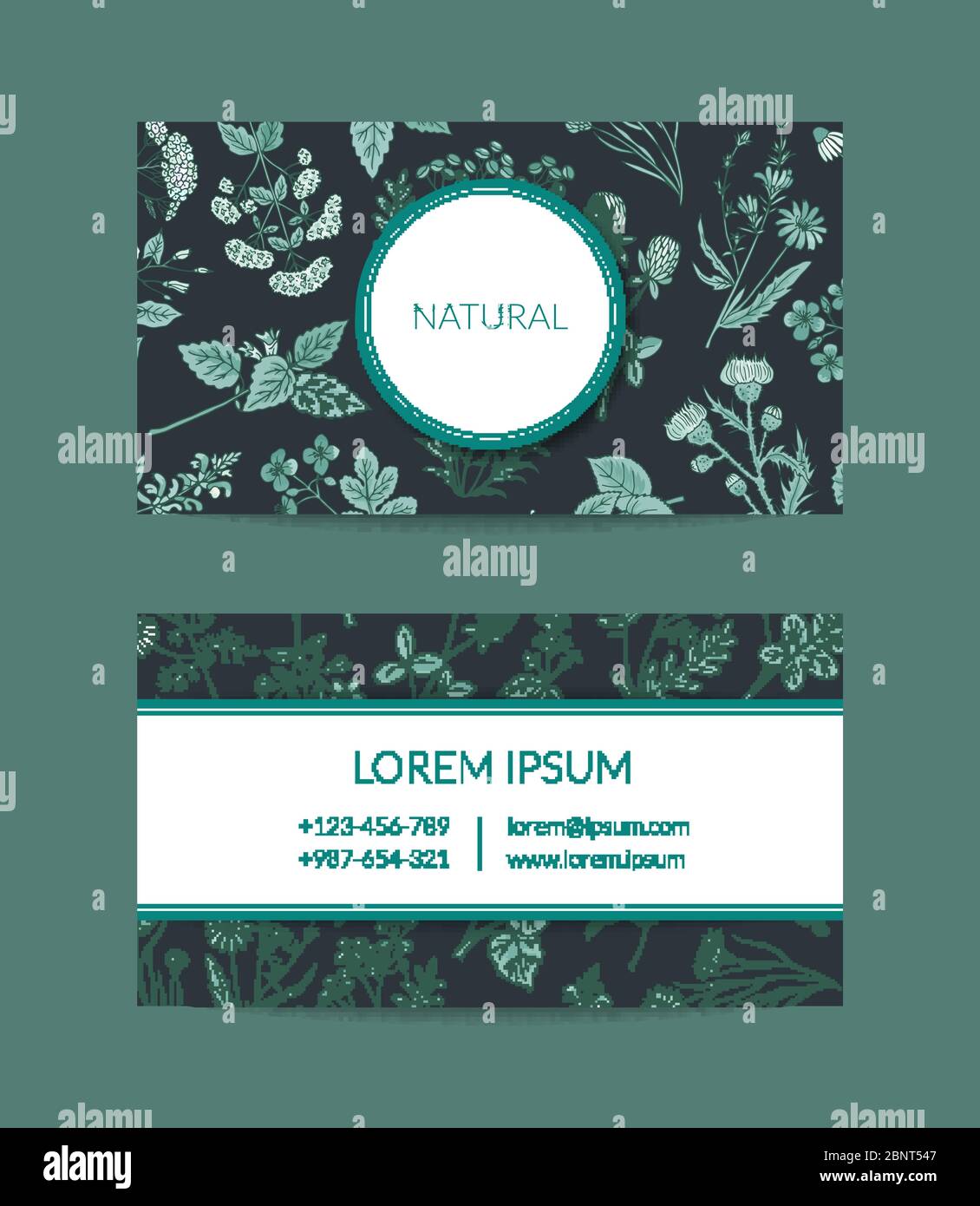 Vector hand drawn medical herbs business card template for farmacy ...