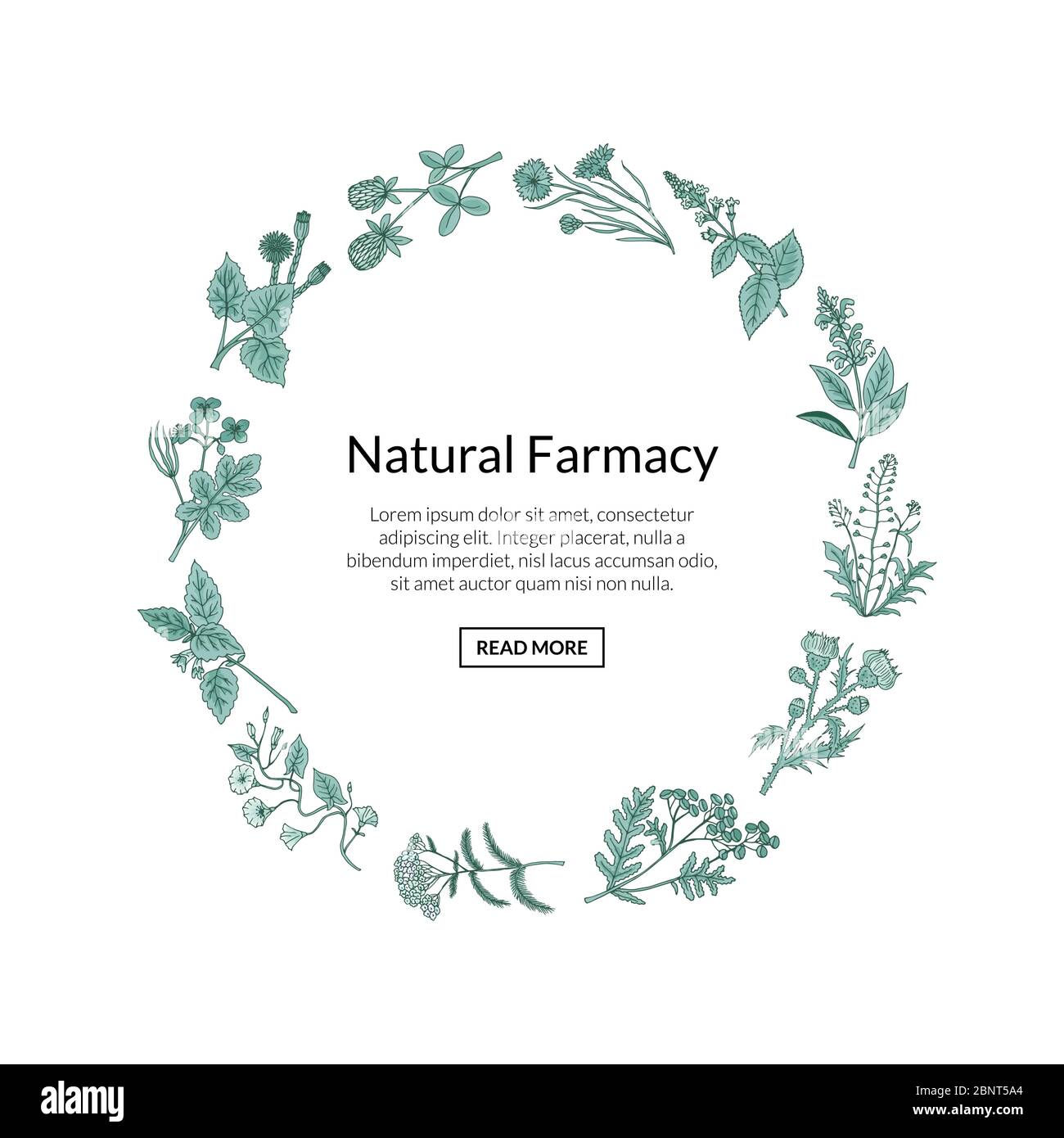 Dandelion flower set hand Stock Vector Images - Alamy