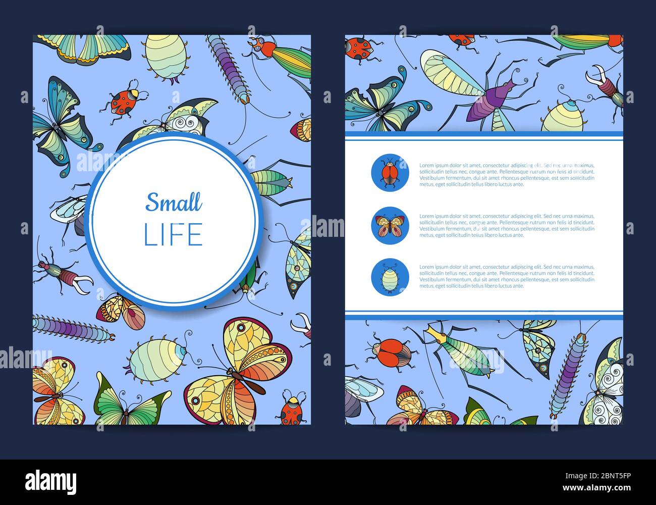 Vector hand drawn insects card isolated on backdrop Stock Vector Image ...