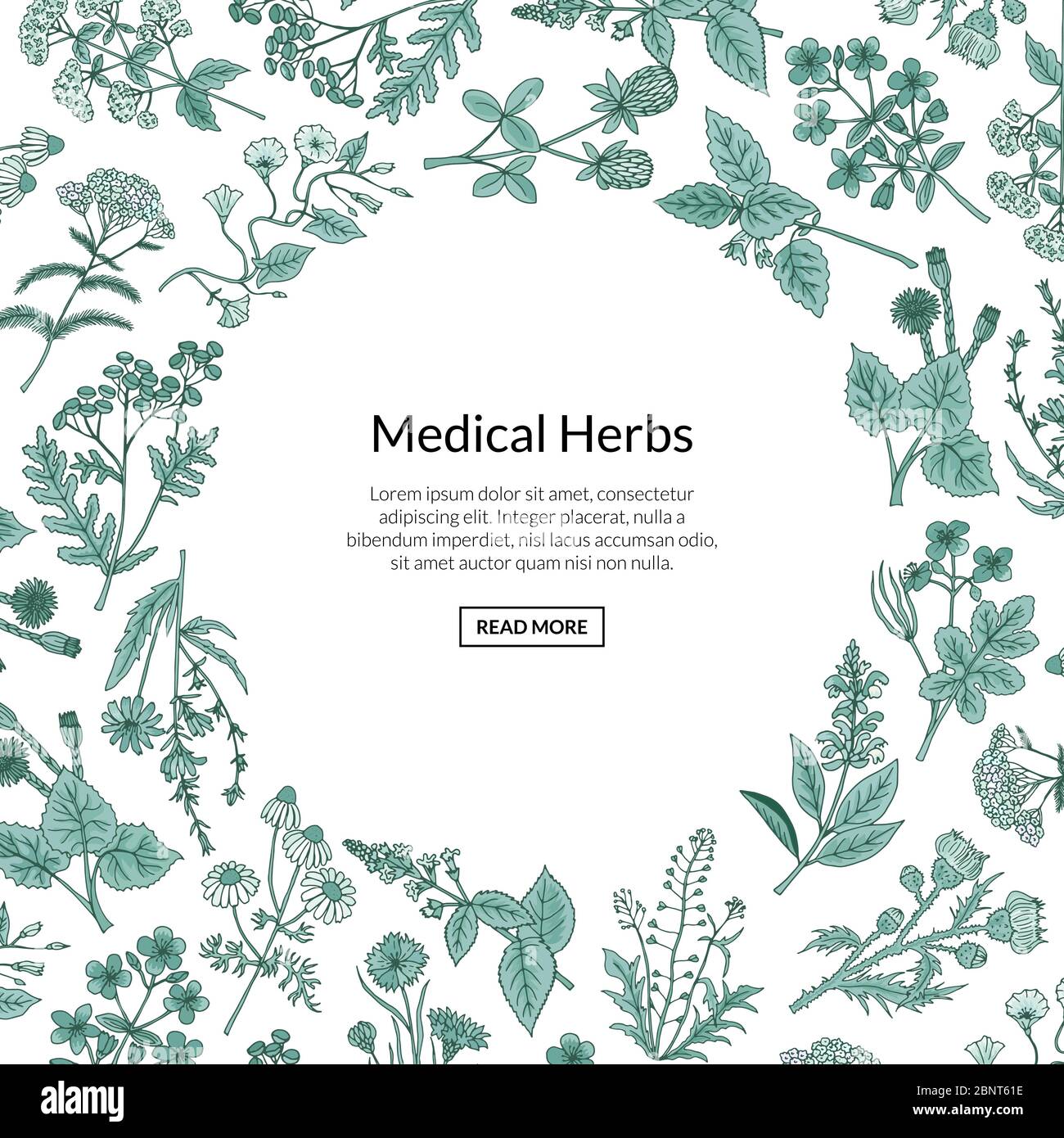 Vector hand drawn medical herbs background with place for text ...