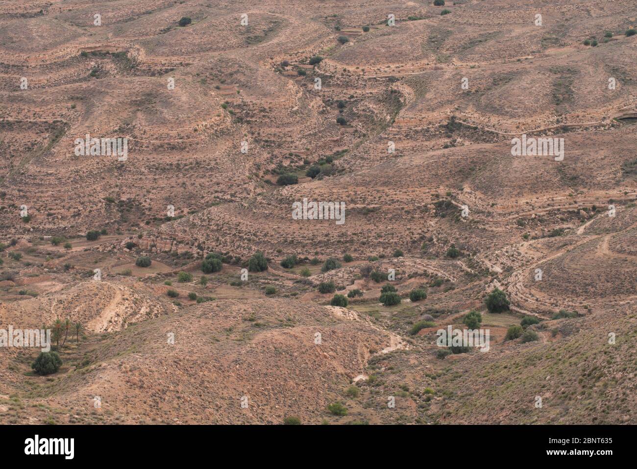 Dahar mountains hi-res stock photography and images - Alamy