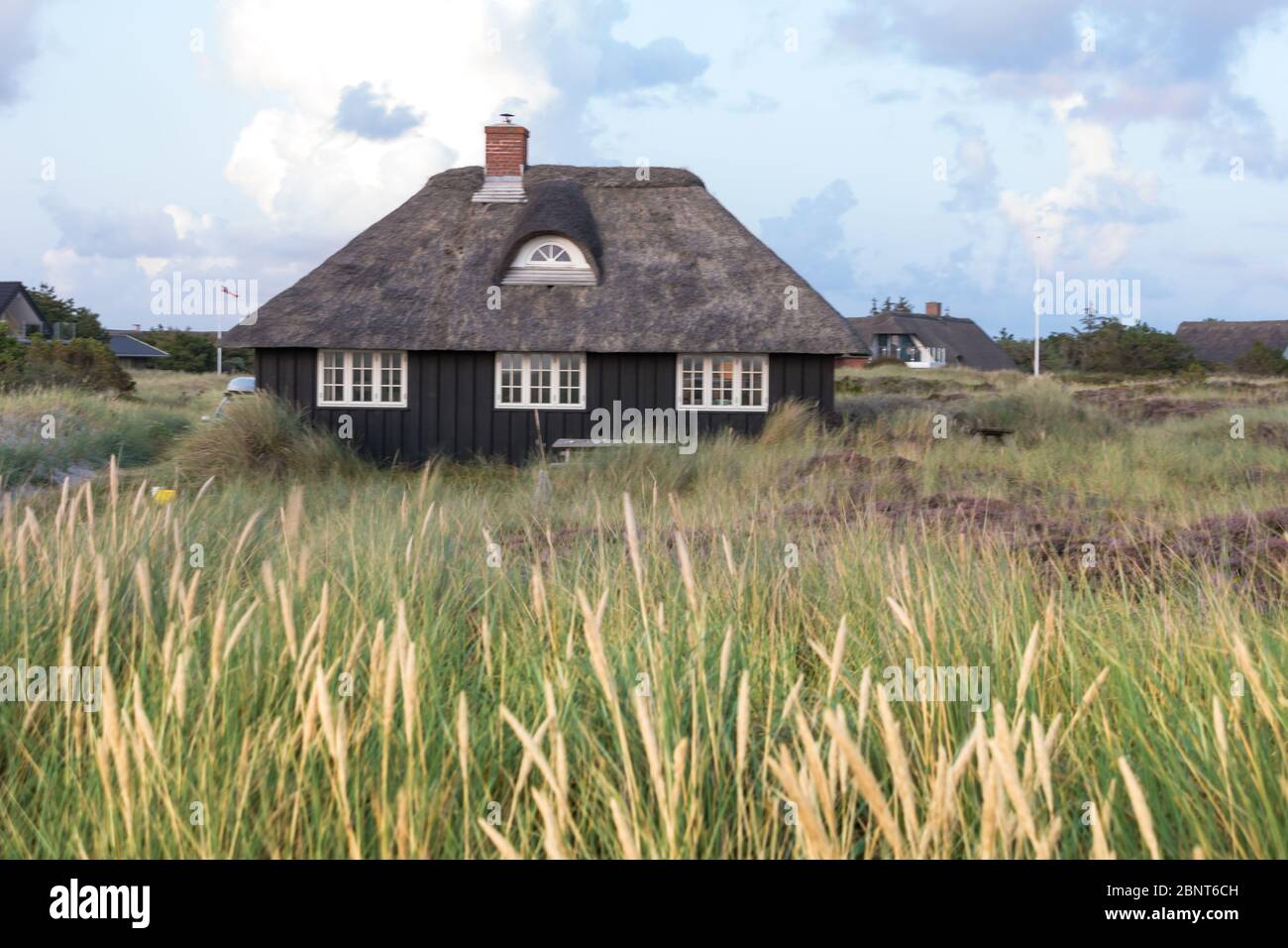 Typical small danish house of black wood with thatched roof in the ...