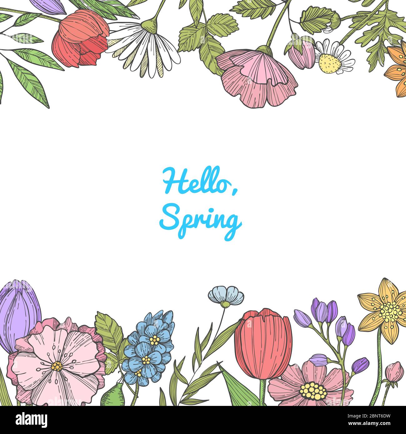 Vector hand drawn color flowers background banner Stock Vector Image ...