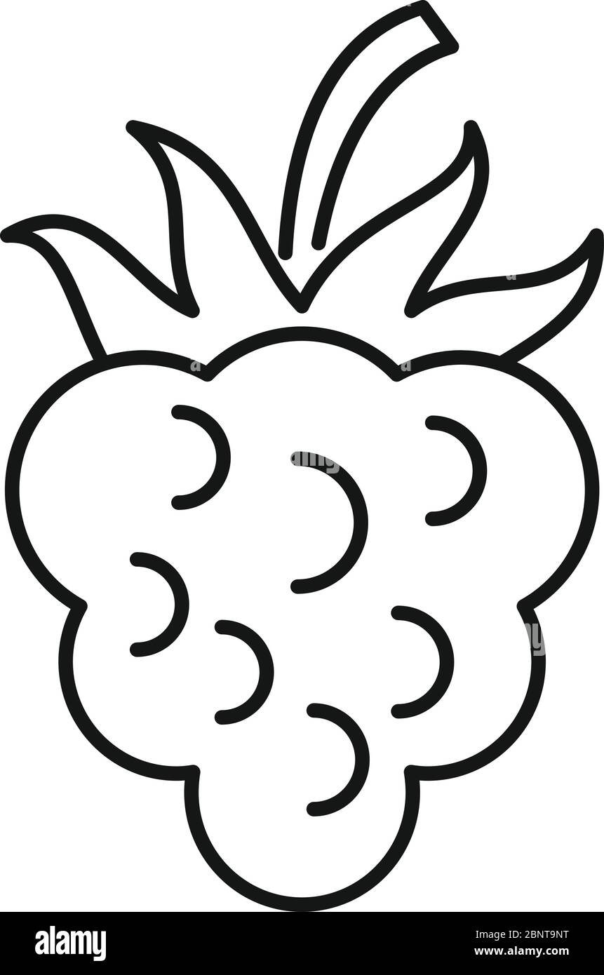 Fruit blackberry icon. Outline fruit blackberry vector icon for web ...