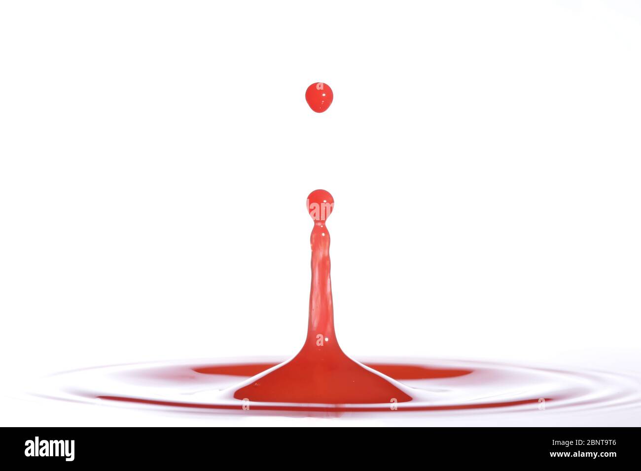 Water Drop Splash against a white background Stock Photo - Alamy