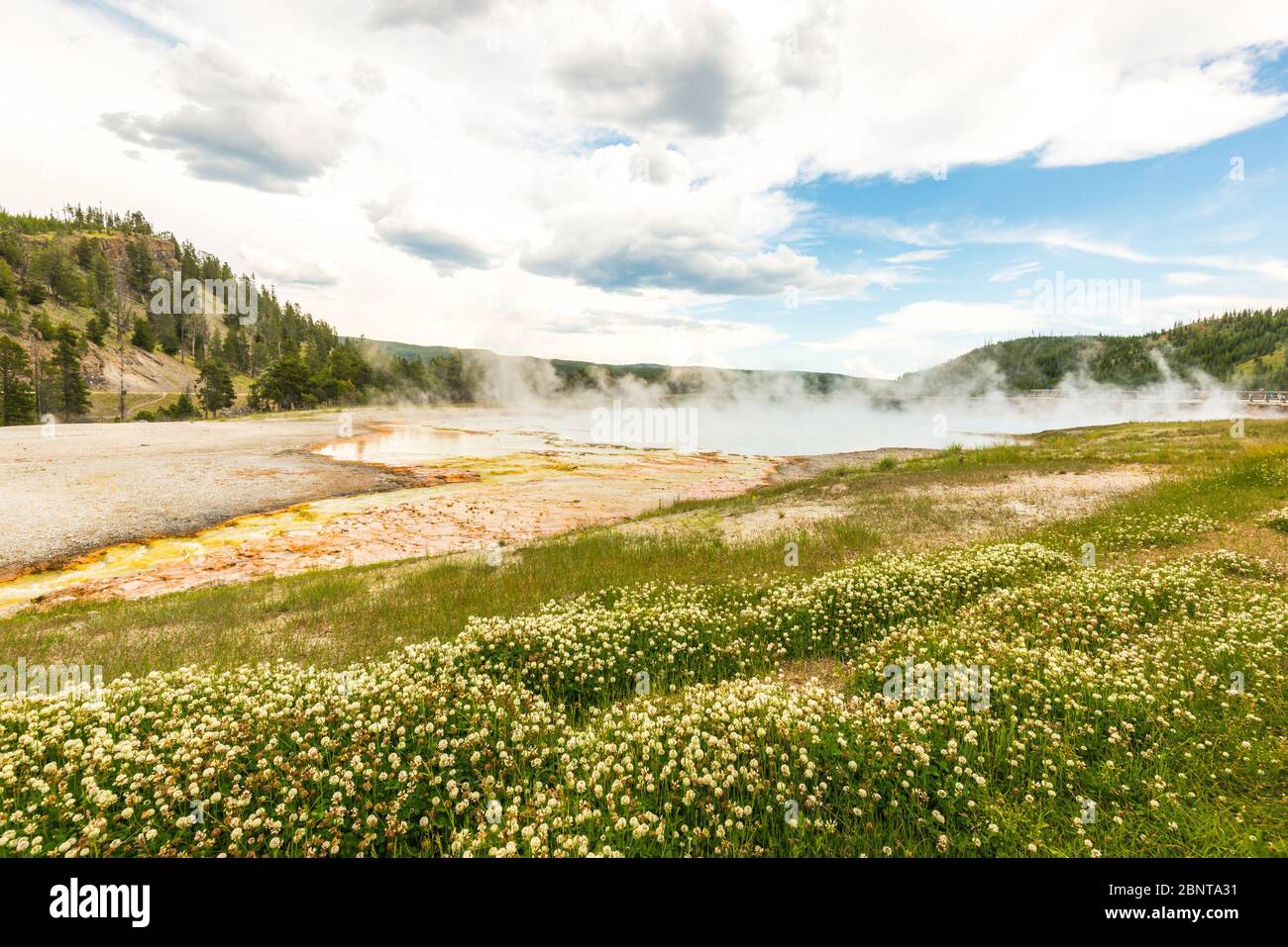 some scenic view of landscape in geysers area in yellow stone,Wy,usa ...