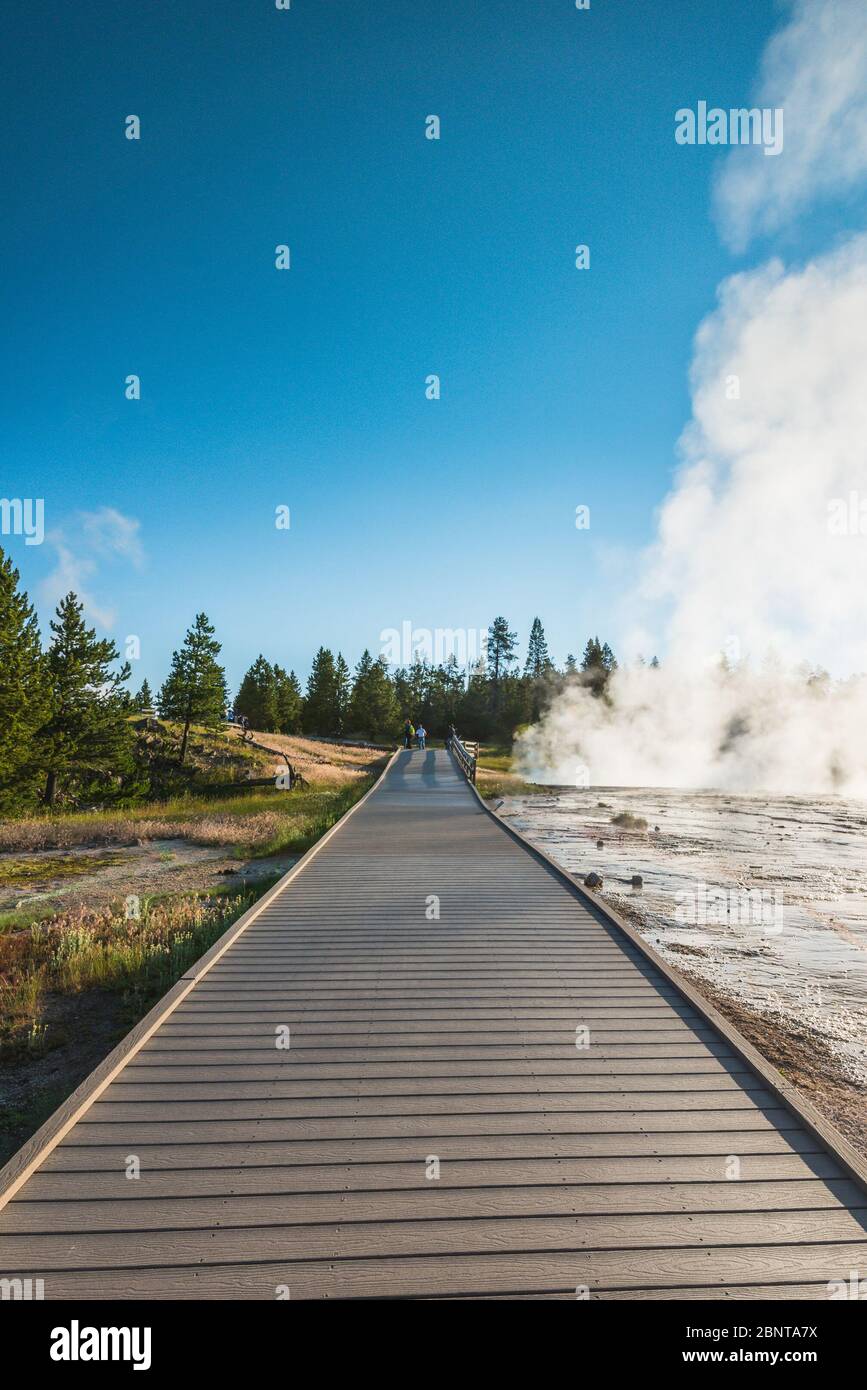 path way in geyser area, in Yellowstone National park,Wy,usa Stock ...