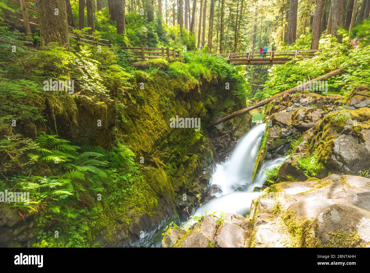 scenic view of Sol duc water falls area in mt Olympic National park,Washington,usa Stock Photo ...