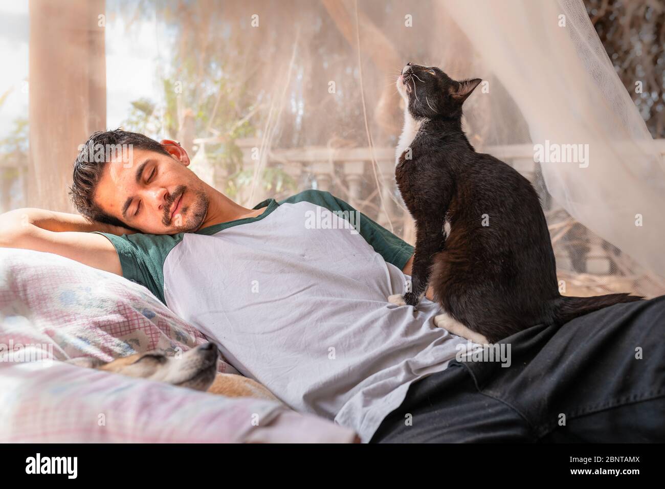 young man sleeps in an armchair in the garden under a mosquito net. A ...