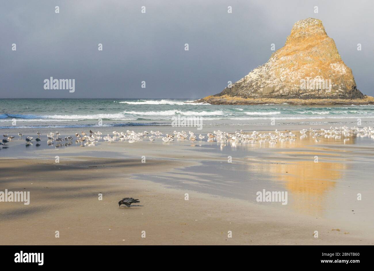 Oregon landscapes hi-res stock photography and images - Alamy