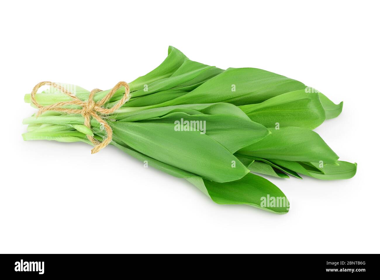 Ramson bunch vegetable isolated on white background with clipping path ...