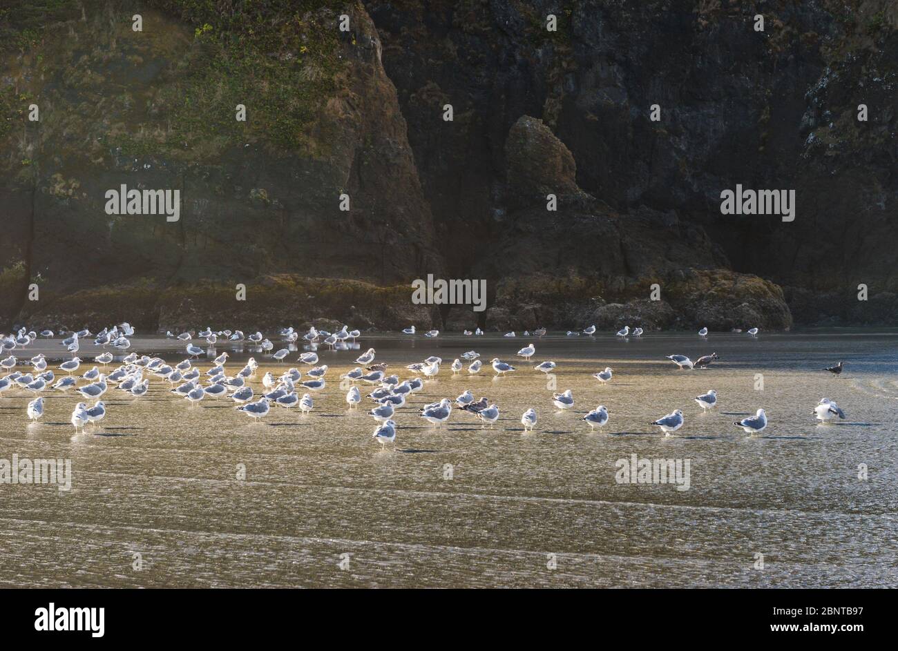 Beautiful oregon sunset hi-res stock photography and images - Alamy