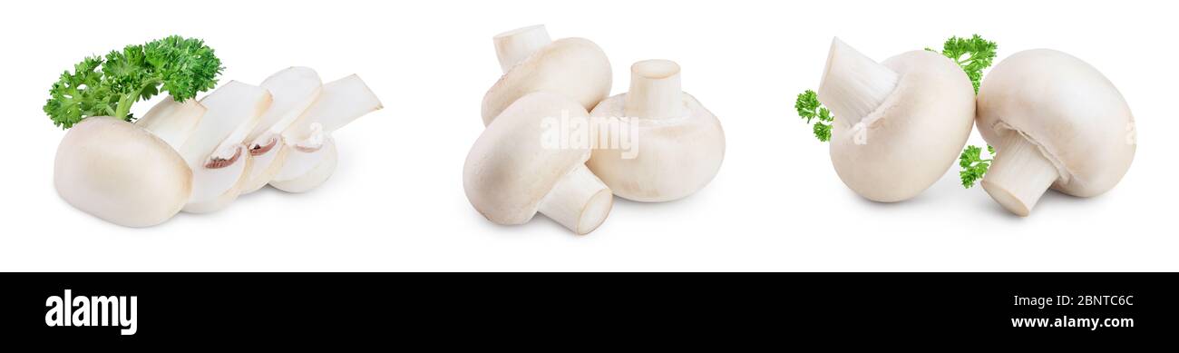 Fresh mushrooms champignon isolated on white background with clipping ...
