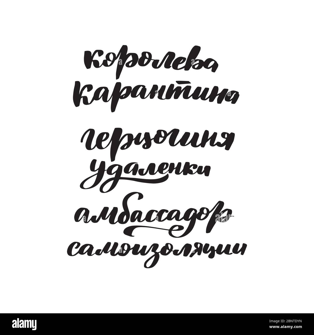 Vector calligraphy illustration isolated on white background Stock ...