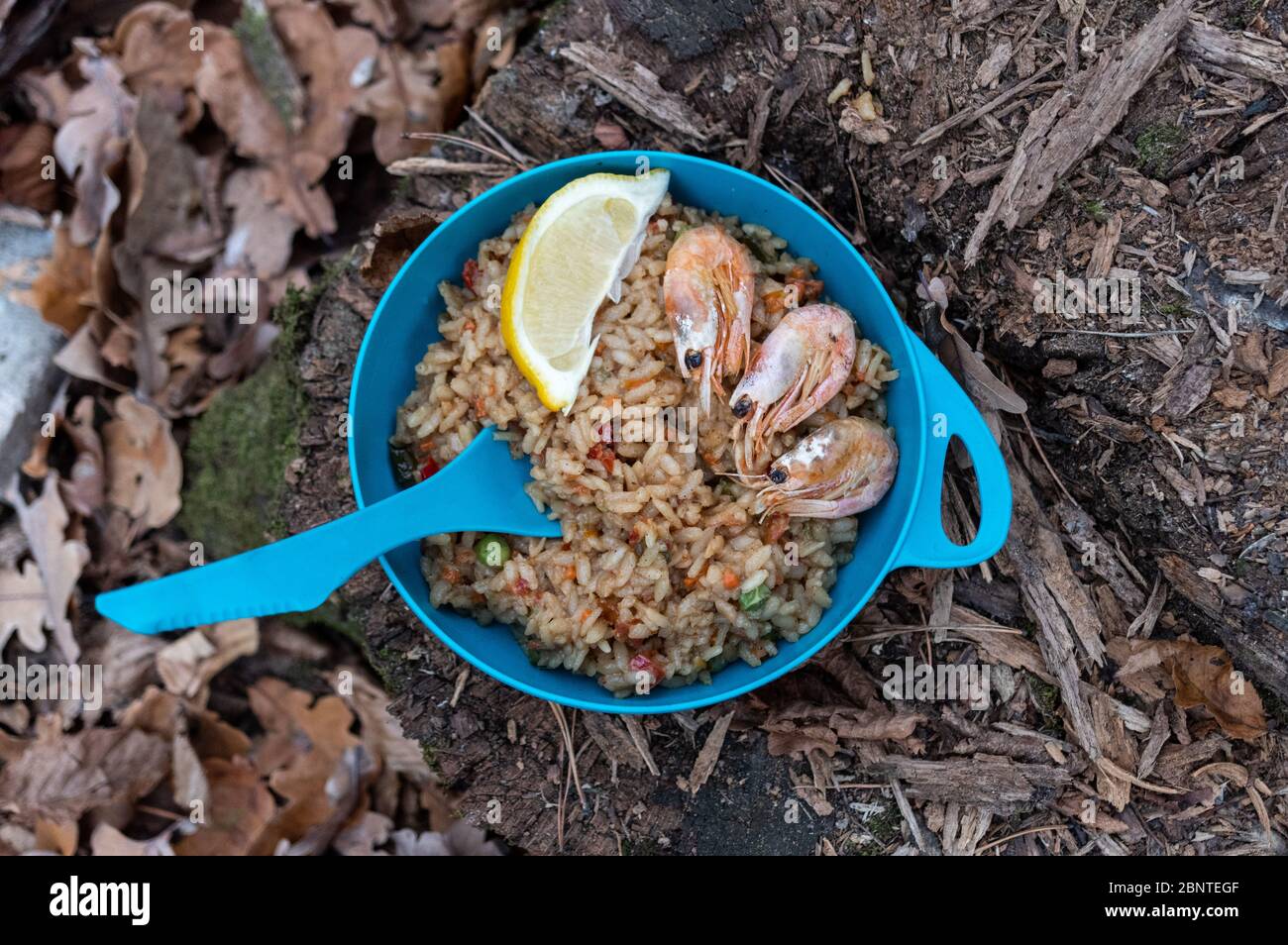 Italian paella with prawns. Italian dish with prawns and lemon. A ...