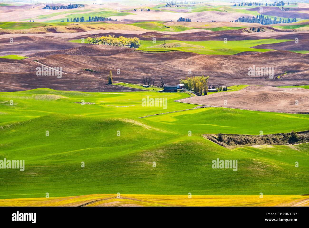 Steptoe butte on the day in spring season,Washington,usa Stock Photo ...