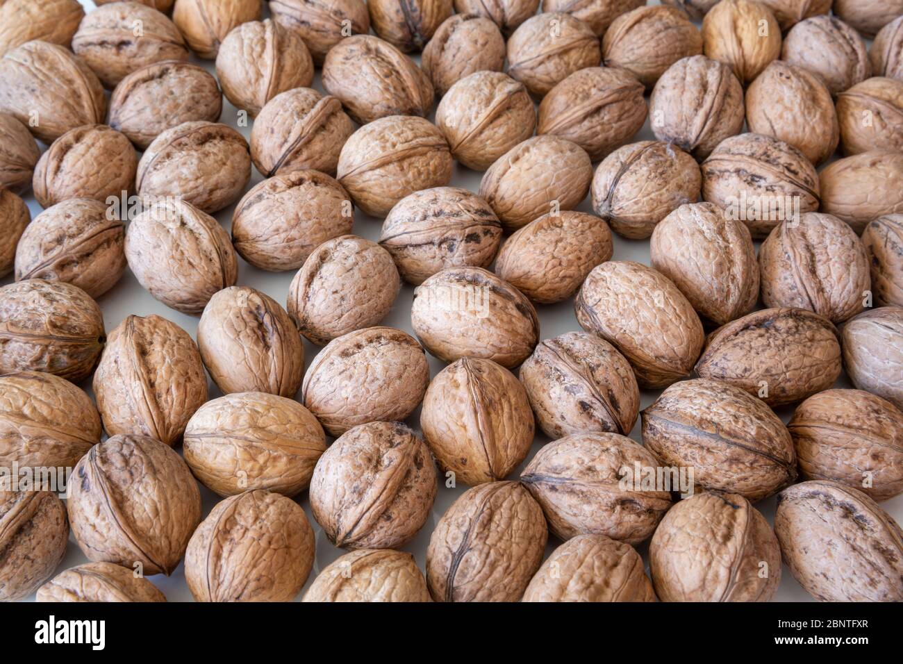 Top view natural walnut photo Stock Photo - Alamy