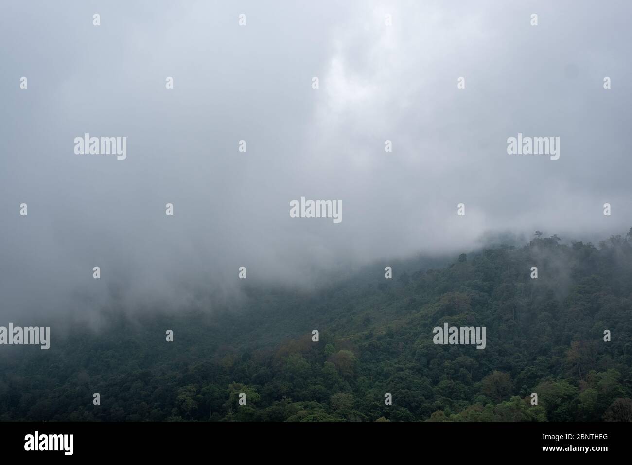 Landscape image of greenery rainforest and hills on foggy day Stock ...