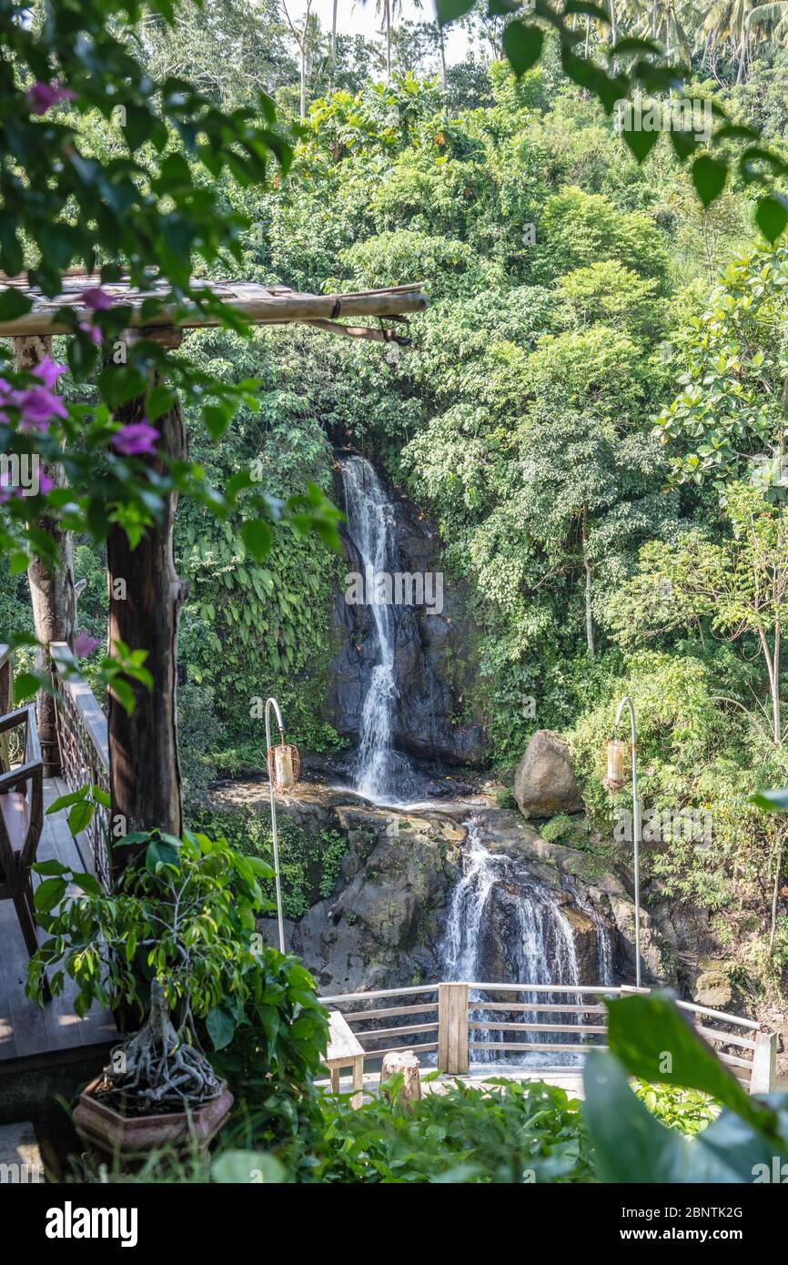 Layana waterfall in Ubud. Gianyar, Bali, Indonesia. Vertical image ...