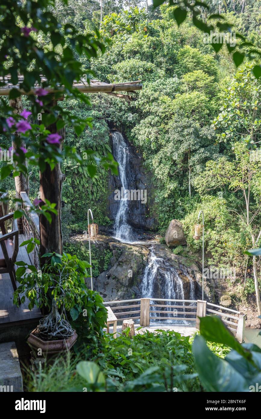 Layana waterfall in Ubud. Gianyar, Bali, Indonesia. Vertical image ...