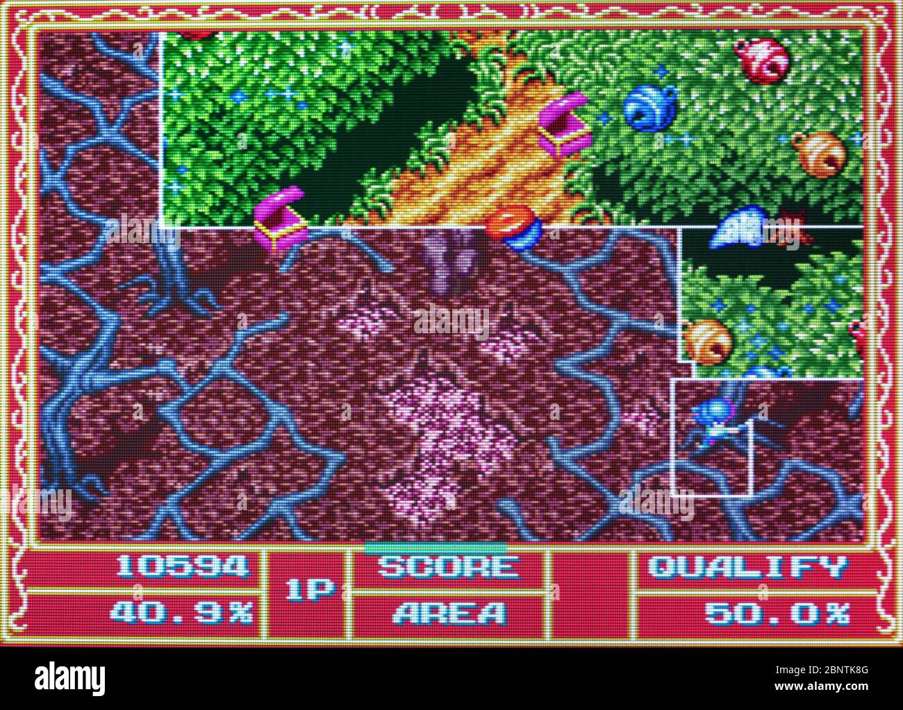 Cacoma Knight - SNES Super Nintendo - Editorial use only Stock Photo ...