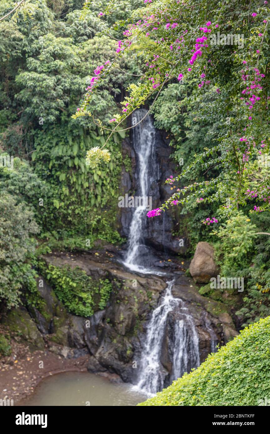 Layana waterfall in Ubud. Gianyar, Bali, Indonesia. Vertical image ...