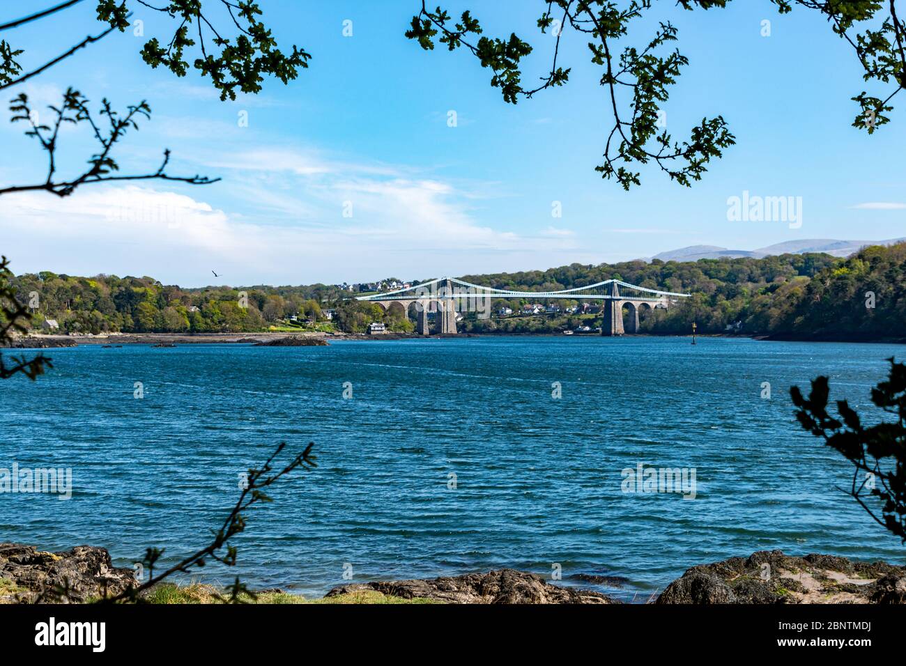 View through the trees down the Menai Straits from the Anglesey Coastal ...