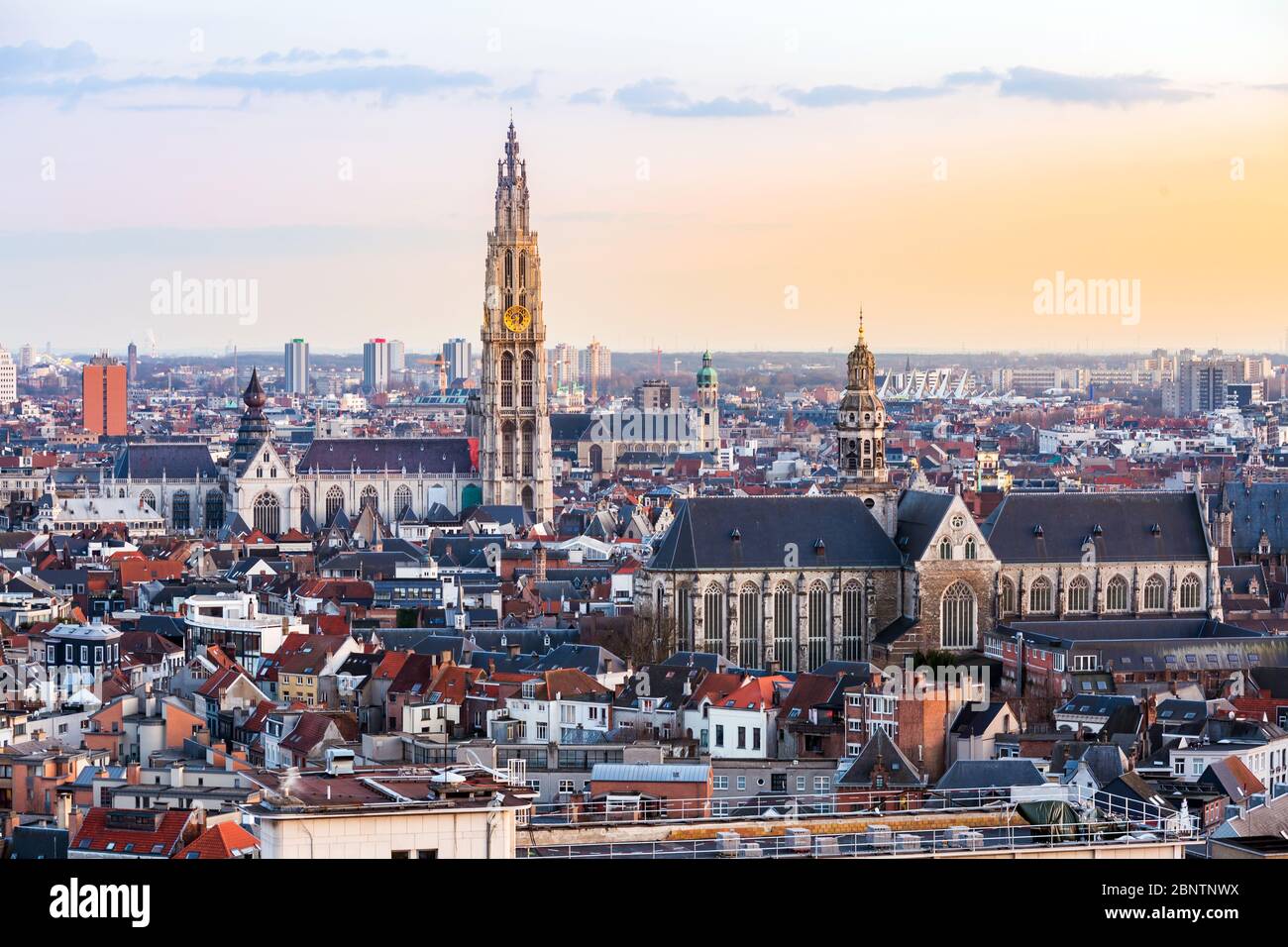Aerial high angle view landscape of Antwerp cityscape with cathedral of ...