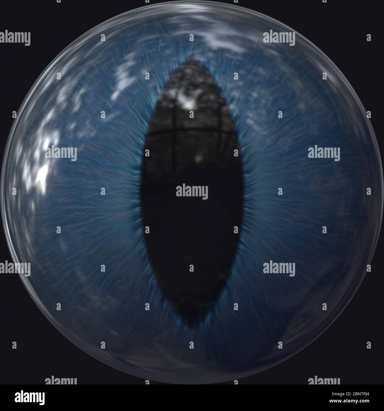 eye iris pupil Stock Photo - Alamy