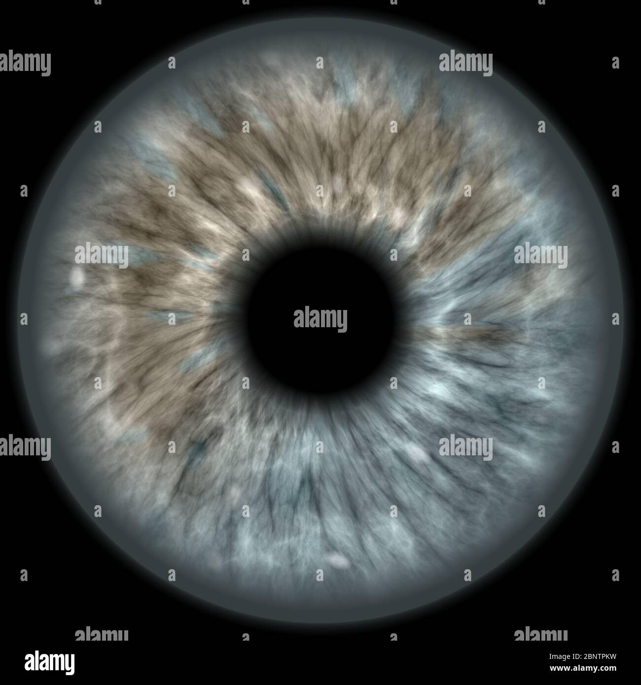 eye iris pupil Stock Photo - Alamy
