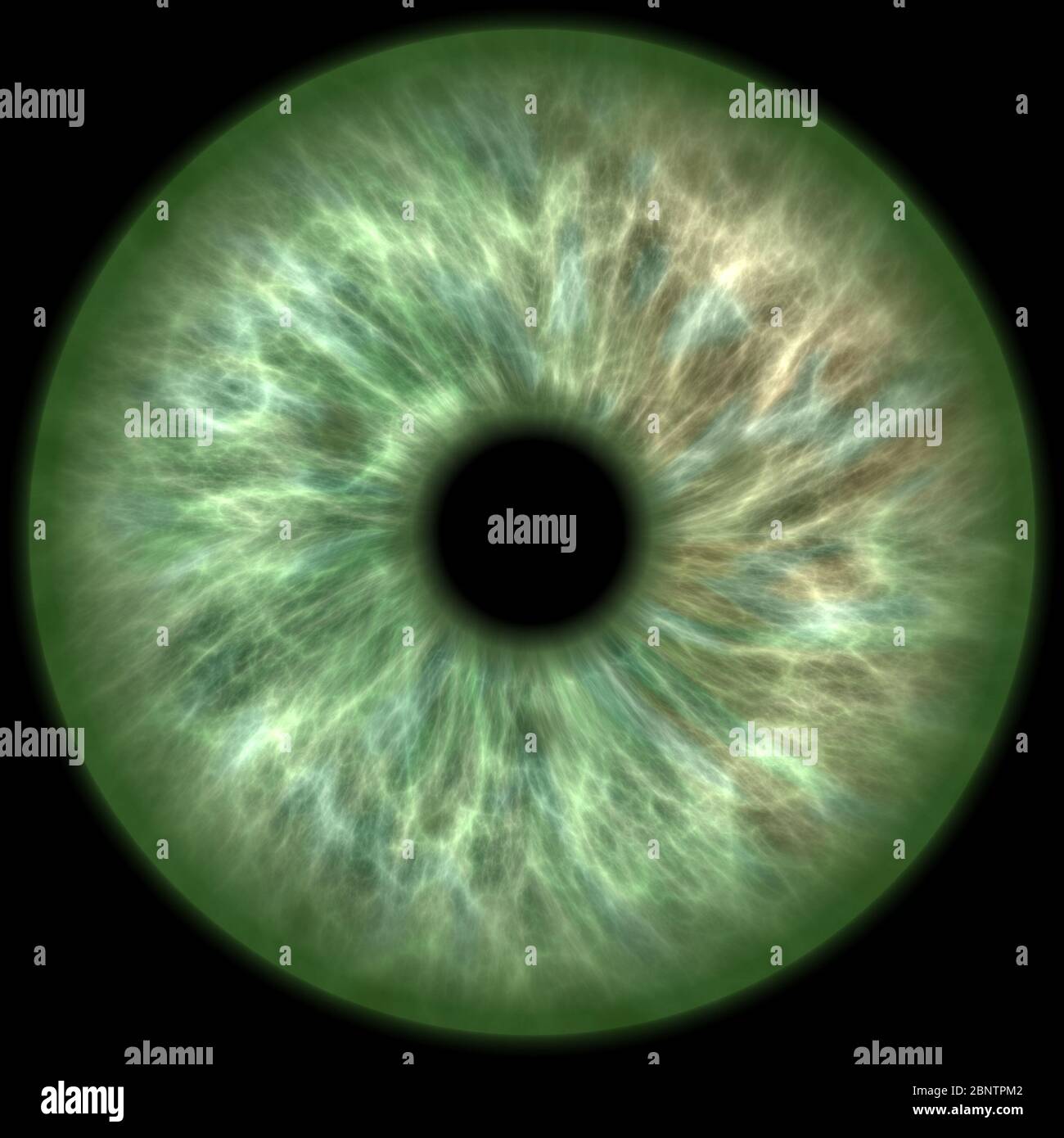 eye iris pupil Stock Photo - Alamy