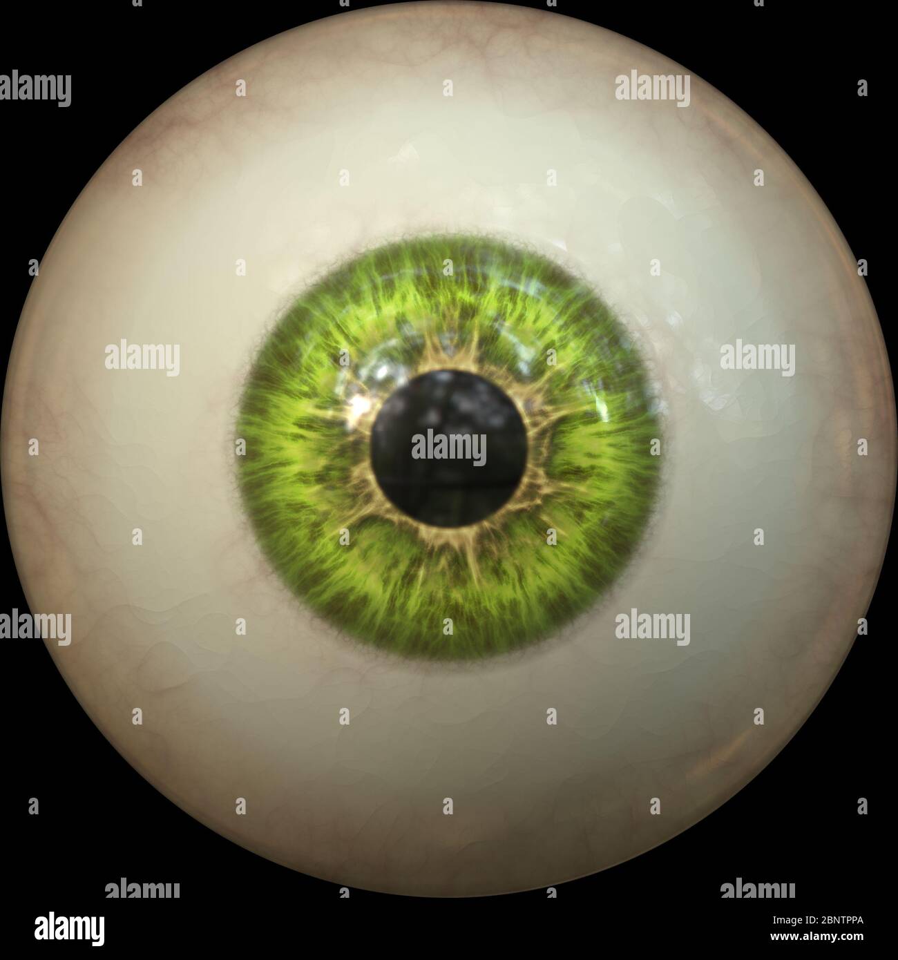eye iris pupil Stock Photo - Alamy