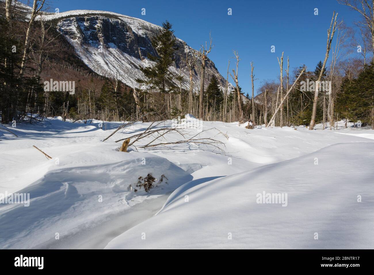 Franconia Notch State Park - Cannon Cliff which is on the side of ...